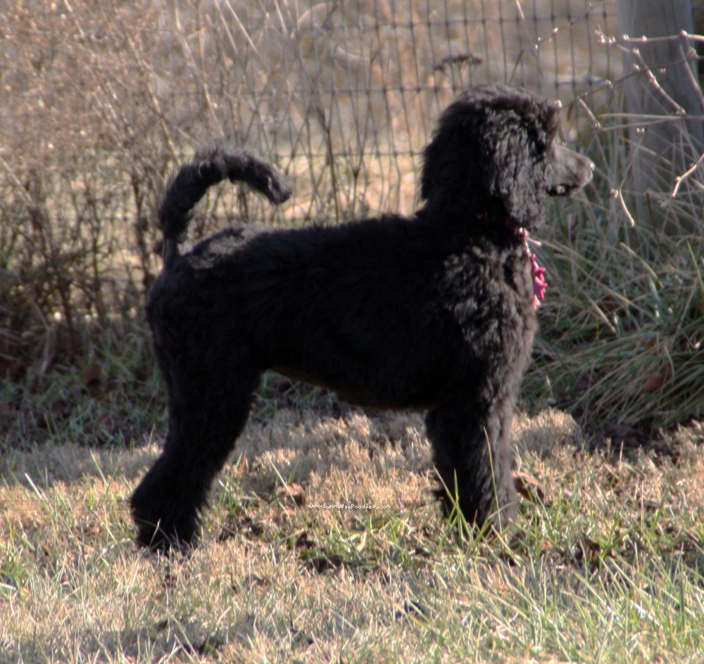 Photo of Zoe