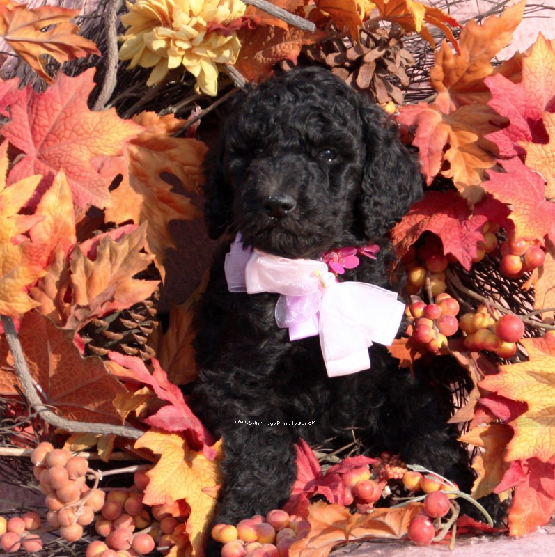 Photo of Zoe