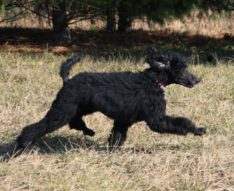 Photo of Zoe